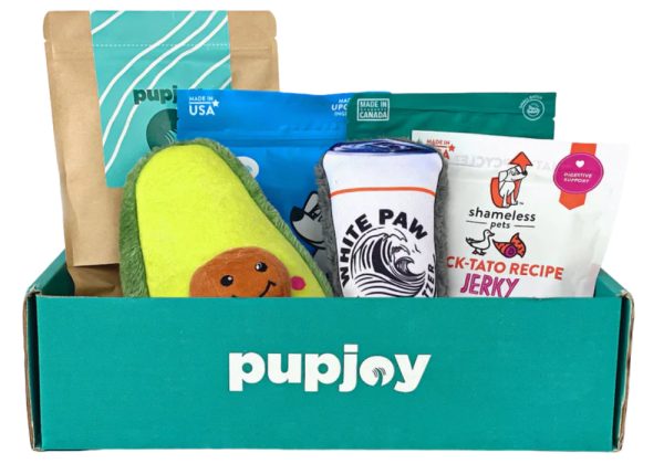 10 Best Dog Subscription Boxes in 2026 - Reviews & Top Picks – Dogster