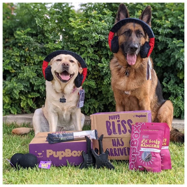 10 Best Dog Subscription Boxes in 2026 - Reviews & Top Picks – Dogster