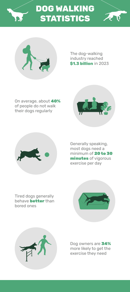 10 Dog Walking Statistics for 2025: How Much People Walk Their Pups ...