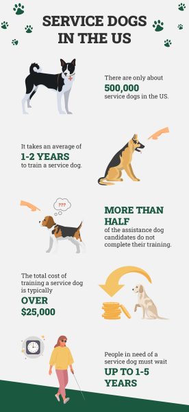 10 Remarkable Service Dog Statistics in 2025: Training, Costs & FAQ ...