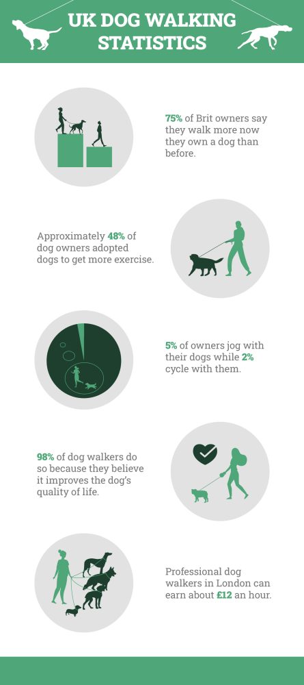 14 UK Dog Walking Statistics & Facts for 2025: How Much People Walk ...