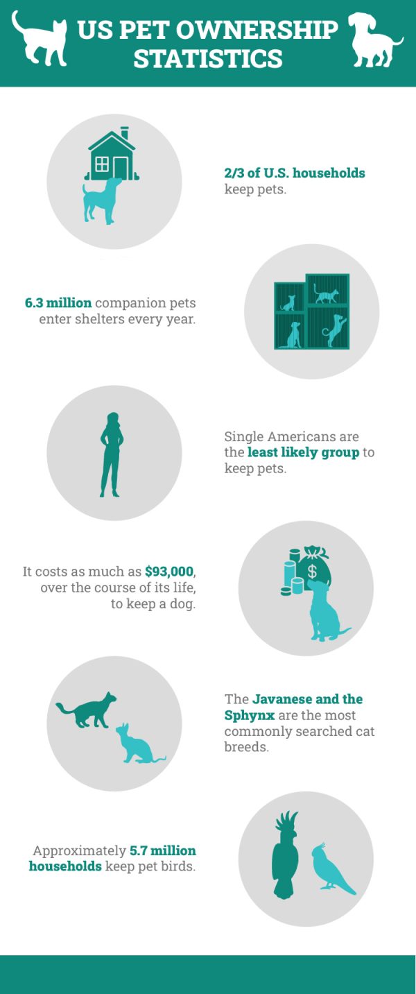 20 US Pet Ownership Statistics 2025: Updated Facts & FAQ – Dogster