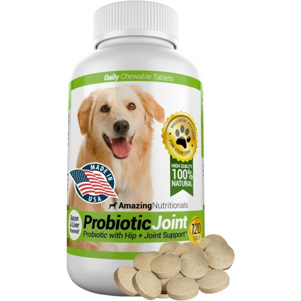 10 Best Probiotics for Dogs in 2026 – Reviews & Top Picks – Dogster