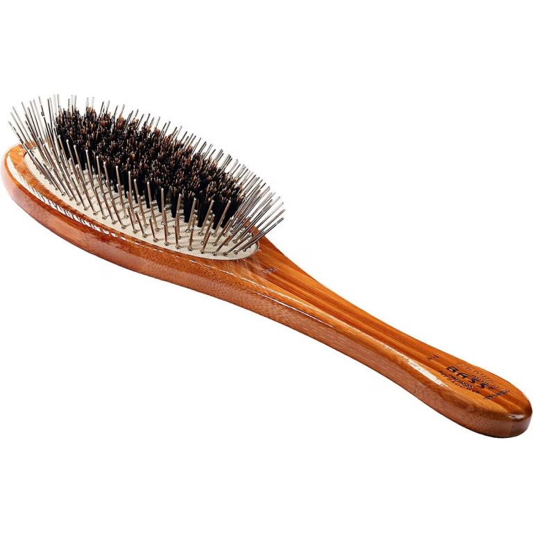 10 Best Dog Brushes in 2026 - Reviews & Top Picks – Dogster