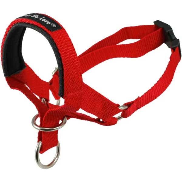 10 Best Dog Halters in 2026 - Reviews & Top Picks – Dogster