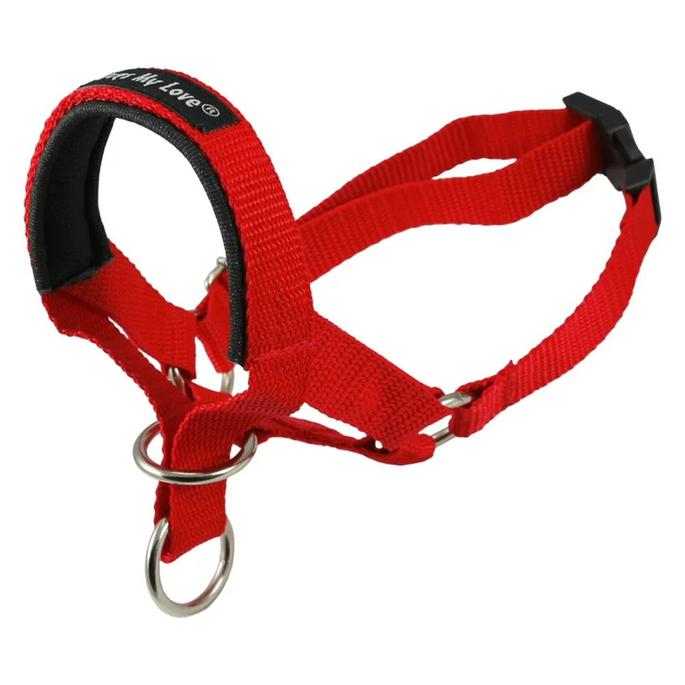 10 Best Dog Halters in 2024 - Reviews & Top Picks – Dogster