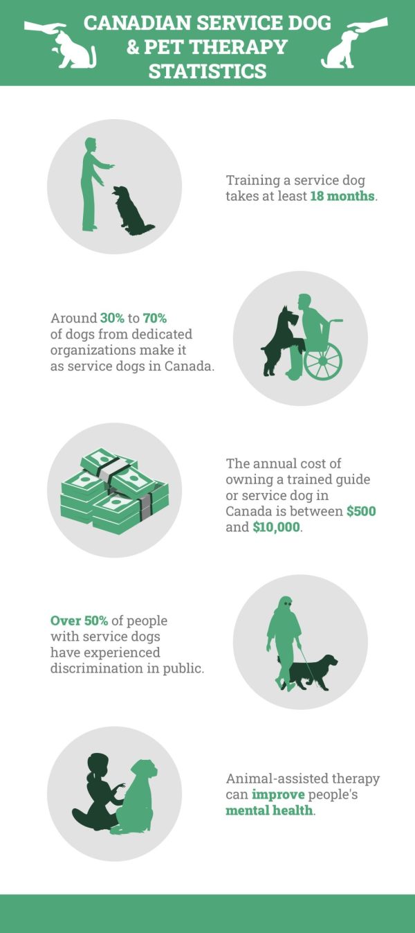 10 Canadian Service Dog & Pet Therapy Statistics to Know in 2024 – Dogster