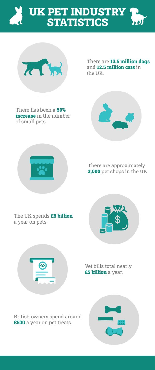15 UK Pet Industry Statistics to Know in 2025: Trends, Market Size & FAQ – Dogster