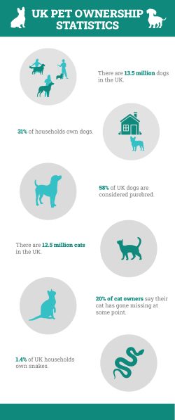 20 UK Pet Ownership Statistics in 2025: General & Regional Facts – Dogster