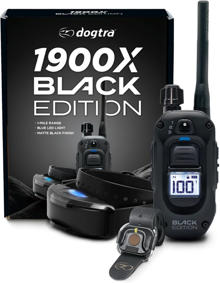10 Best Dog Training Collars in 2026 - Reviews & Top Picks – Dogster