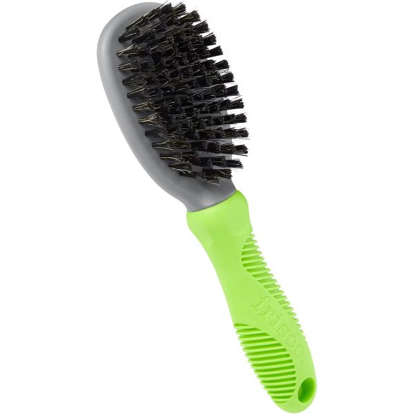 10 Best Dog Brushes in 2025 - Reviews & Top Picks – Dogster