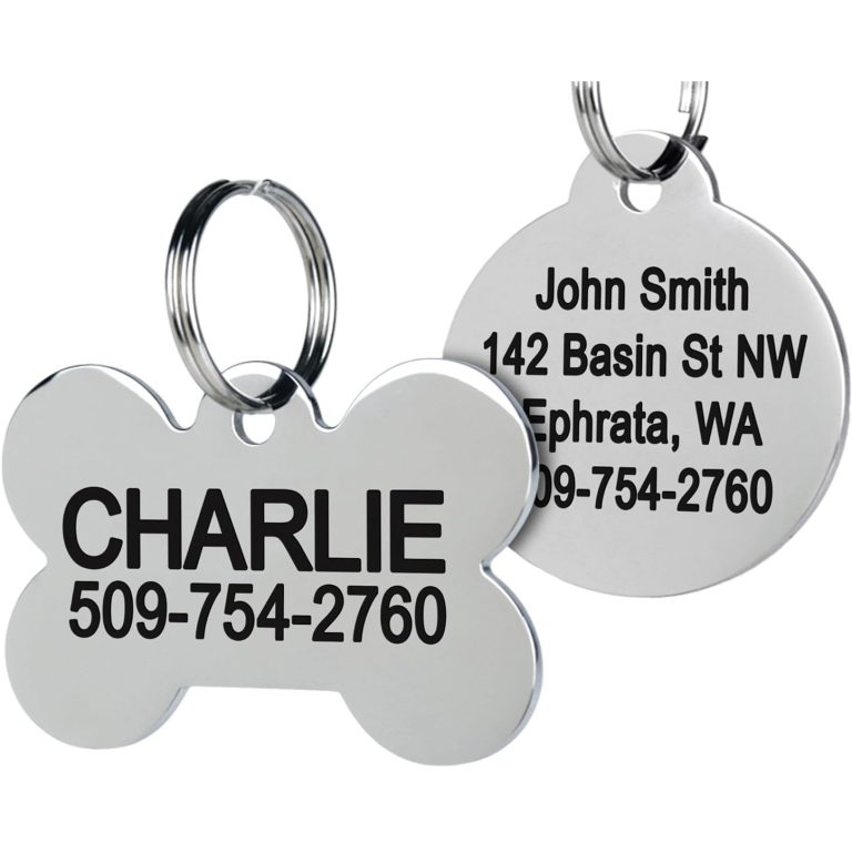 9 Best Dog Tags in 2026 - Reviews & Top Picks – Dogster