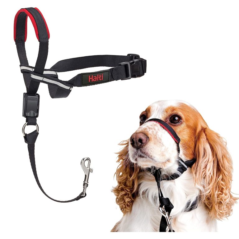 10 Best Dog Halters in 2026 - Reviews & Top Picks – Dogster
