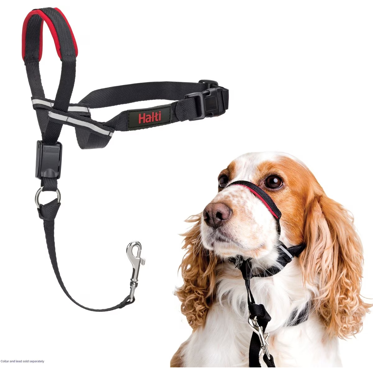 10 Best Dog Halters in 2024 - Reviews & Top Picks – Dogster
