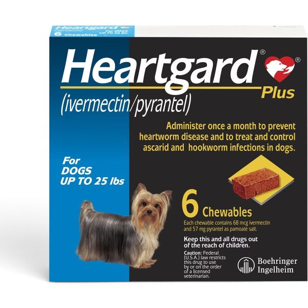 10 Best Heartworm Medicines for Dogs in 2026 - Reviews & Top Picks ...