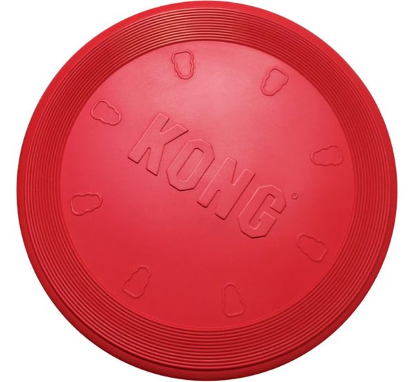 8 Best Dog Frisbees in 2025: Reviews & Top Picks – Dogster