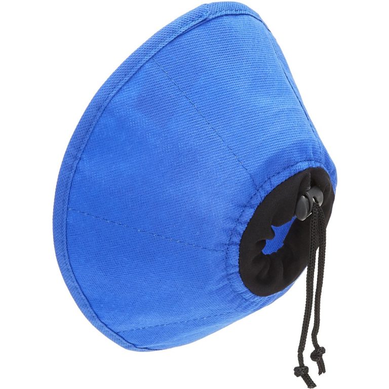 9 Best Dog Cones in 2026 – Reviews & Top Picks – Dogster