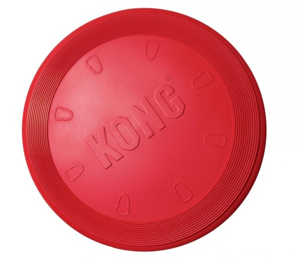 8 Best Dog Frisbees in 2024: Reviews & Top Picks – Dogster