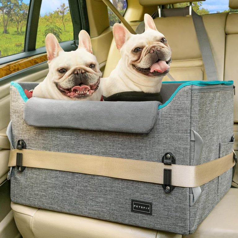 8 Best Dog Car Seats in 2026 - Reviews & Top Picks – Dogster