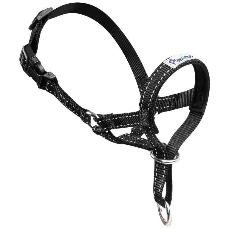 10 Best Dog Halters in 2026 - Reviews & Top Picks – Dogster