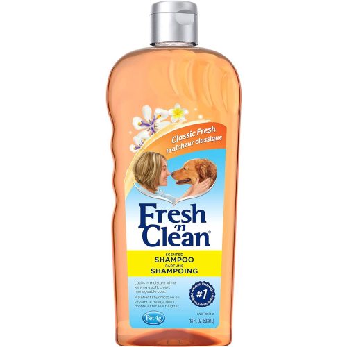11 Best Dog Shampoos in 2026: Reviews & Top Picks – Dogster