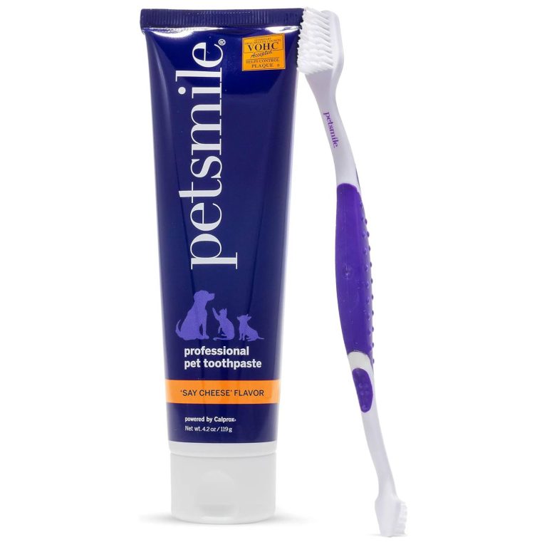 10 Best Dog Toothpastes in 2026 - Reviews & Top Picks – Dogster