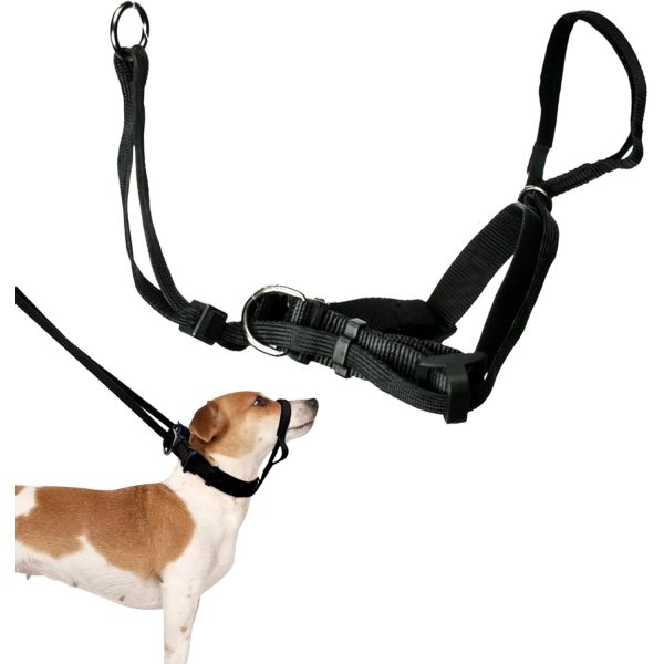 10 Best Dog Halters in 2025 - Reviews & Top Picks – Dogster
