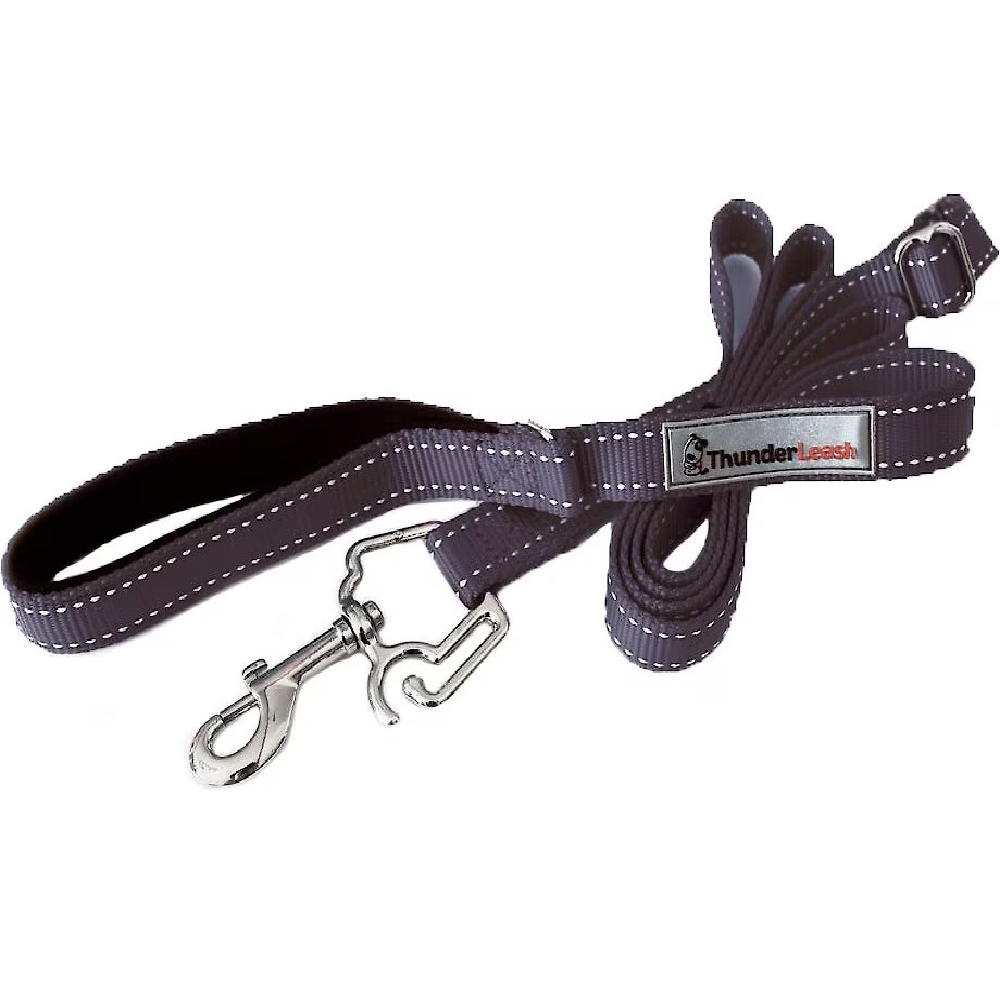 6 Best Leash for Dogs That Pull in 2024 - Reviews & Top Picks – Dogster