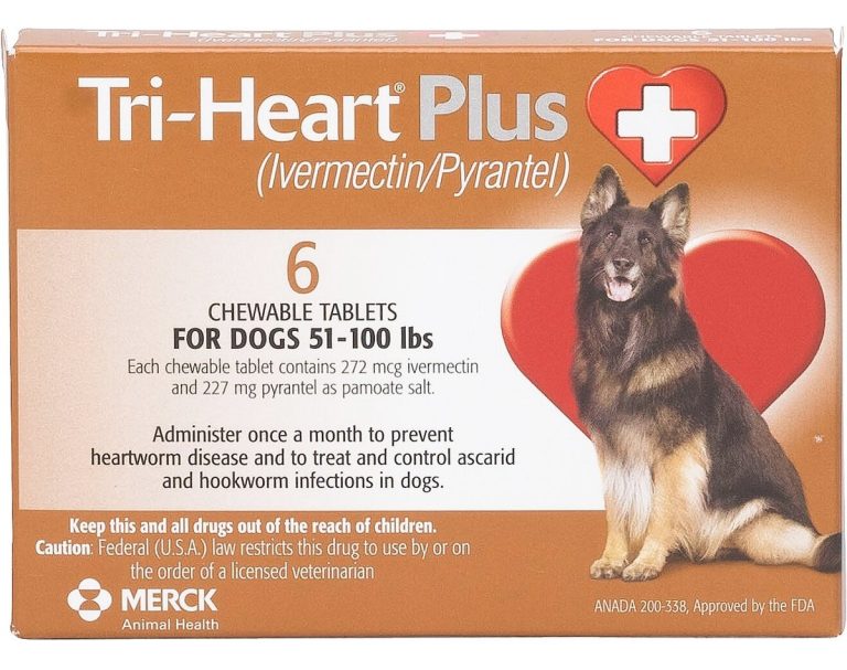 10 Best Heartworm Medicines for Dogs in 2026 - Reviews & Top Picks ...