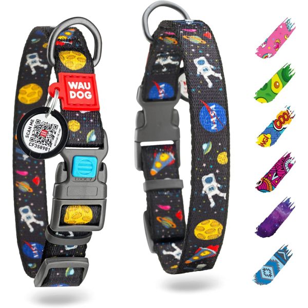 10 Best Dog Collars in 2026 - Reviews & Top Picks – Dogster