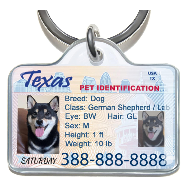 9 Best Dog Tags in 2024 - Reviews & Top Picks – Dogster