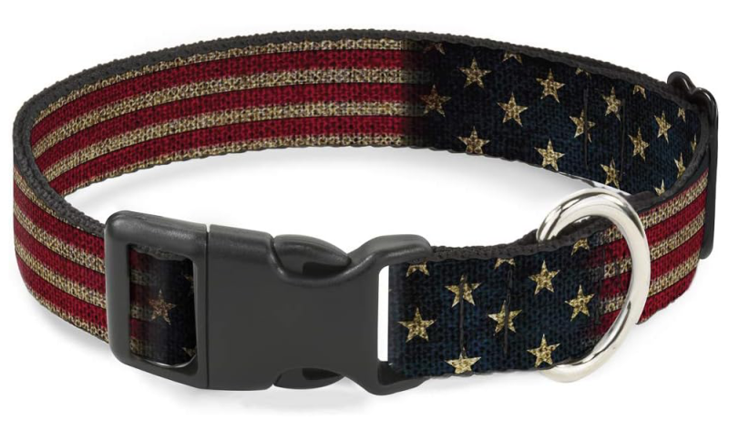 8 Best Personalized Dog Collars in 2026 - Reviews & Top Picks – Dogster