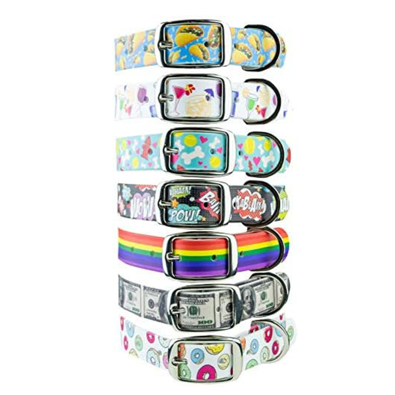 8 Best Personalized Dog Collars in 2025 - Reviews & Top Picks – Dogster