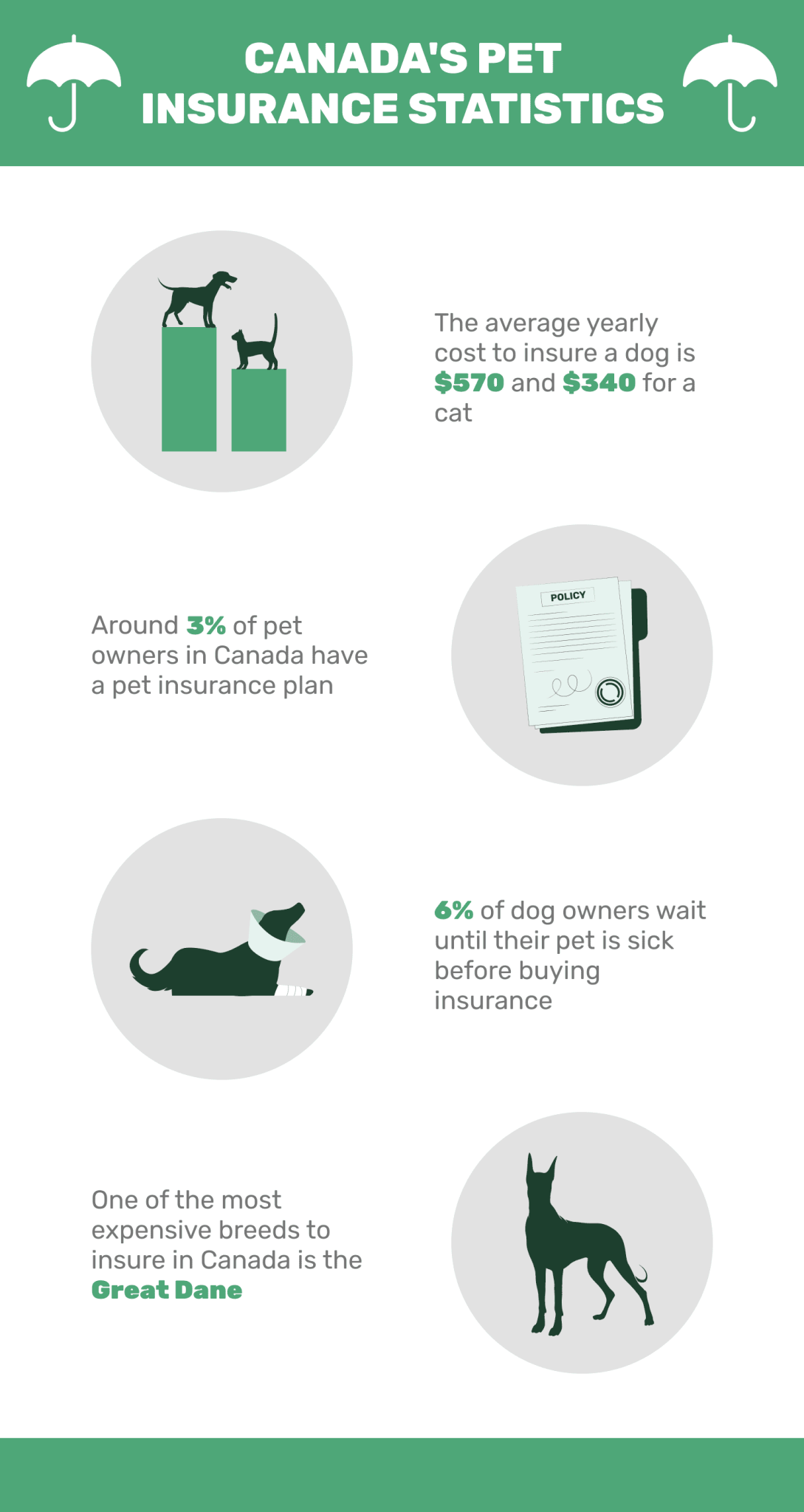 10 Canada Pet Insurance Statistics & Facts to Know in 2026 – Dogster