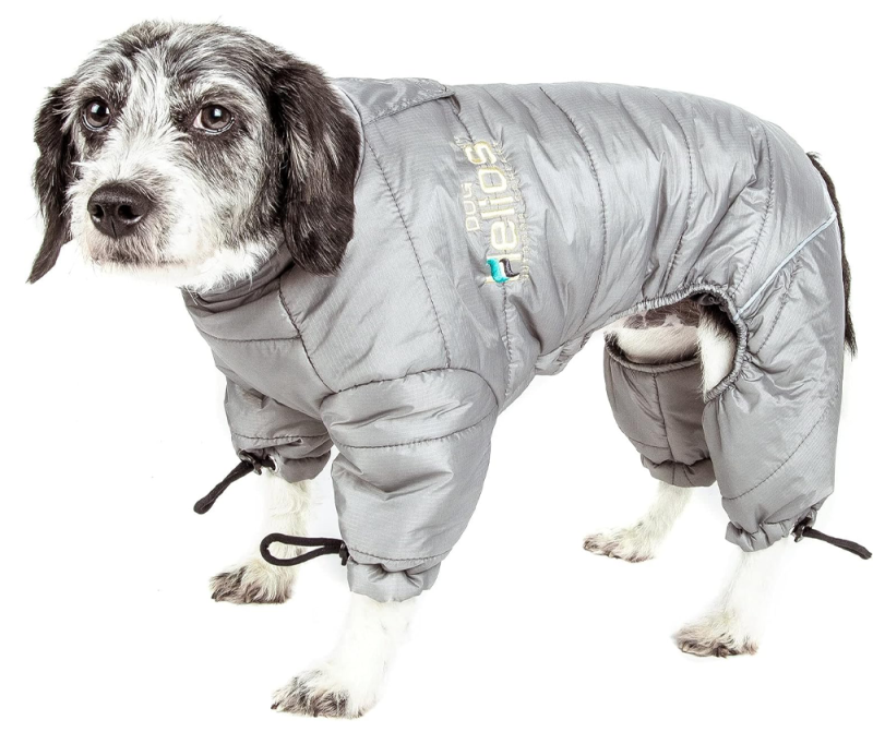 9 Best Winter Jackets for Dogs in 2026 - Reviews & Top Picks – Dogster