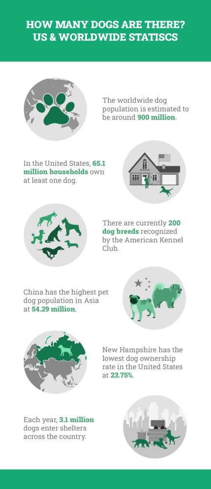 How Many Dogs Are There? US & Worldwide Statistics 2025 – Dogster