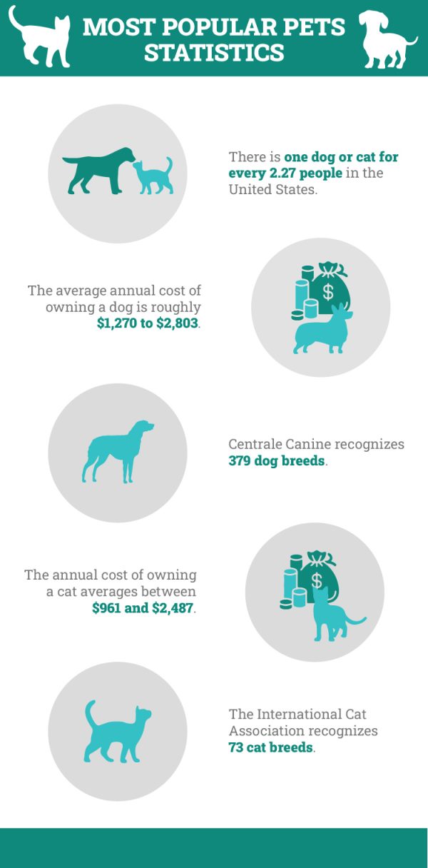 25 Most Popular Pets Statistics in the US: Updated in 2025 – Dogster