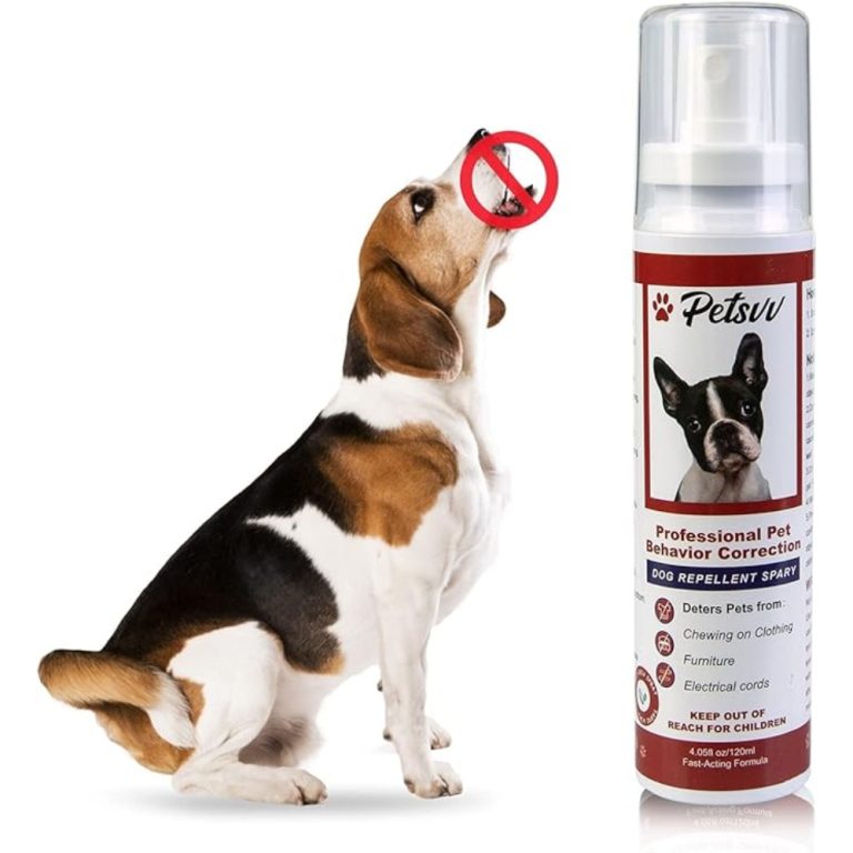9 Best Anti-Chew Sprays for Dogs in 2025 - Reviews & Top Picks – Dogster