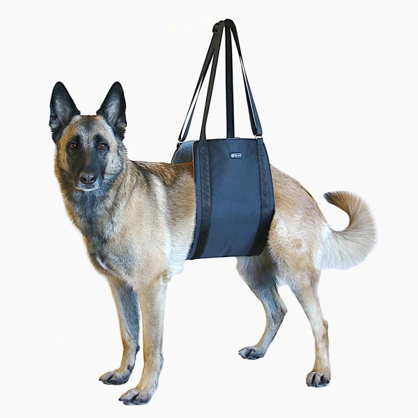 9 Best Dog Lift Harnesses in 2026 - Reviews & Top Picks – Dogster