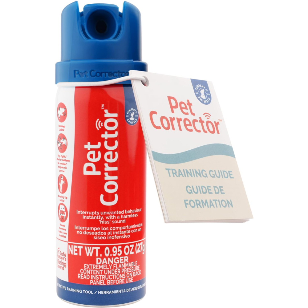 10 Best Dog Barking Deterrents in 2024 - Reviews & Top Picks – Dogster