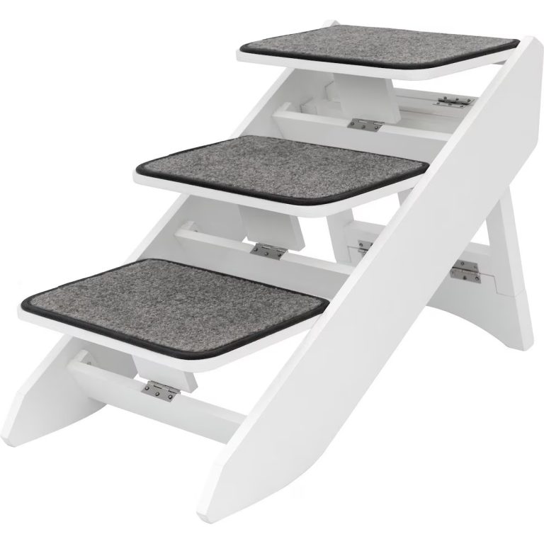 9 Best Dog Ramps for Beds in 2026 - Reviews & Top Picks – Dogster