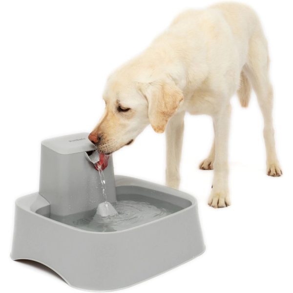 10 Best Dog Water Fountains in 2025 - Reviews & Top Picks! – Dogster