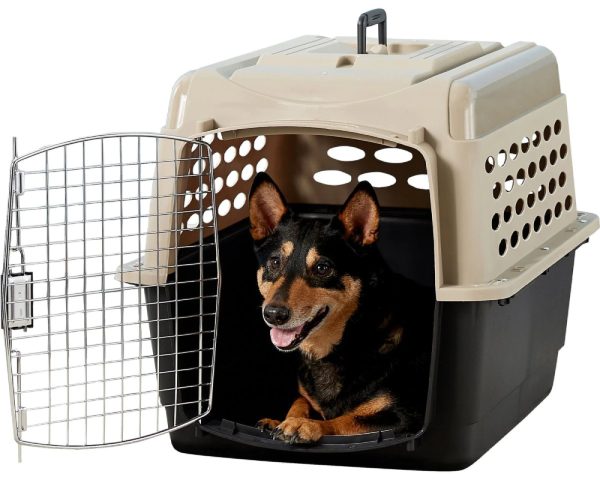 8 Best Collapsible Dog Crates in 2026 - Reviews & Top Picks – Dogster