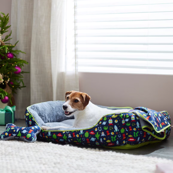 6 Best Puppy Beds in 2024: Reviews & Top Picks – Dogster