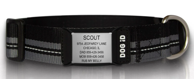 8 Best Personalized Dog Collars in 2026 - Reviews & Top Picks – Dogster