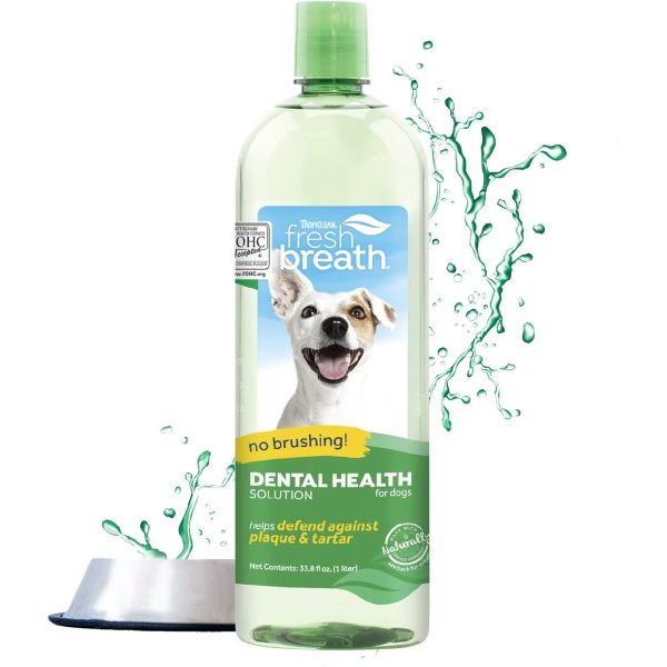 8 Best Dog Dental Water Additives in 2025 - Reviews & Top Picks – Dogster