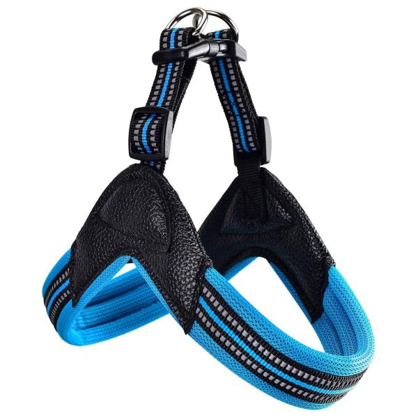 8 Best Harnesses for Large Dogs in 2026 - Reviews & Top Picks – Dogster
