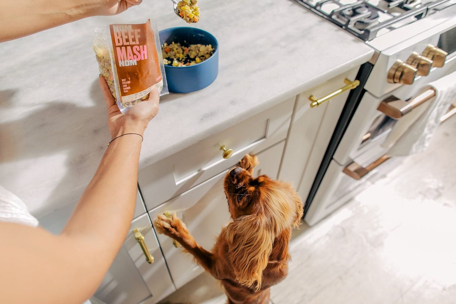 11 Best Dog Foods for Picky Eaters in 2026 - Reviews & Top Picks – Dogster