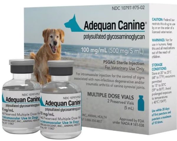 8 Best Arthritis Medications for Dogs in 2026 - Reviews & Top Picks ...
