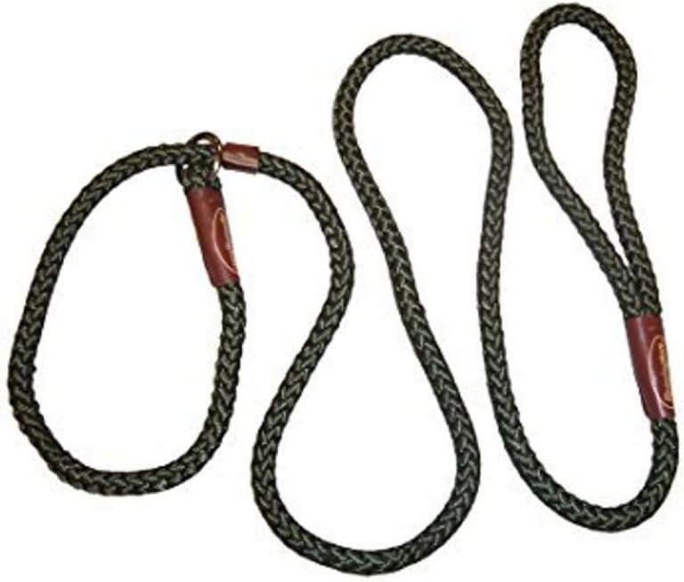 7 Best Slip Leads for Dogs in 2024 - Reviews & Top Picks – Dogster